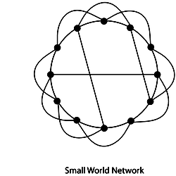Three network types.