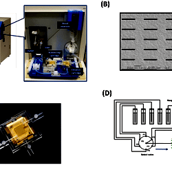 The automated microcavity array (MCA) system.
