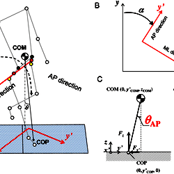 Schematic diagram of (A) the coordinate system of the reference frame ...
