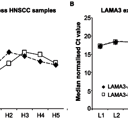 LAMA3 in the 10 clinical HNSCC samples.