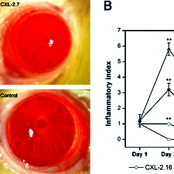 Differential effects of CXL treatment on clinical signs.