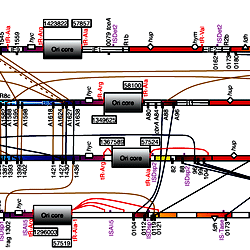 Scaled map of homologous in both HPR regions of each strain.