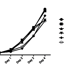 Cell growth curve.