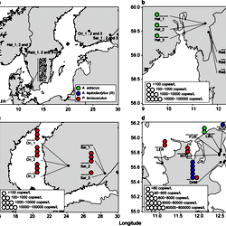 Map of the sampled locations, with detected species and levels of eDNA.