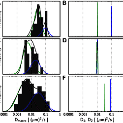 Comparison between MSD and HMM analysis.