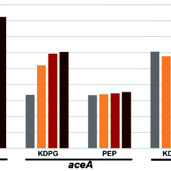 Screening for the RccR effector.