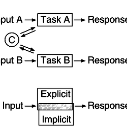 Schematic illustration of two types of dual-process experimental protocols.