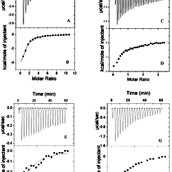Representative ITC measurements.