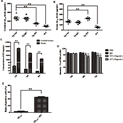 3F5 promotes the clearance of Aβ1–42 from the brain.