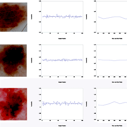 Lacunarity values as a function of box count and image resolution.