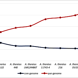 Core and pan genome development plot.