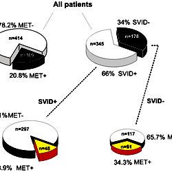 Pie chart comparison of metastatic and SVID patient groupings: