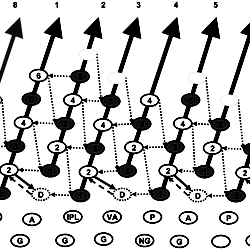 Architectural principles of the TIM barrel fold.