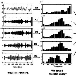 Systematic illustration of wavelet entropy method.
