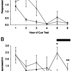 Cue-presentation test.