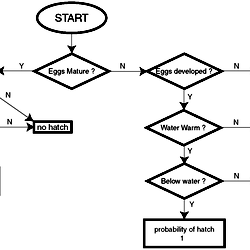 Algorithm for the determination of egg hatch probabilities.