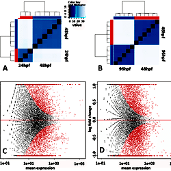 Heatmaps (A and B) showing the Euclidean distances between the samples ...