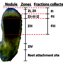Zone capture method.