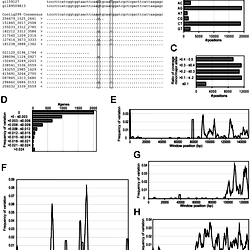 Characterization of sequence variations within GS.