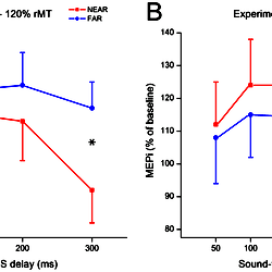 Mean MEP amplitude with respect to baseline (MEPi) recorded when sounds ...