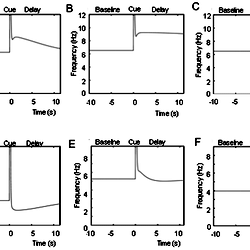 PSTH histograms of activity exhibited by the 2-population firing rate ...