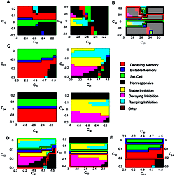 Phase diagrams of the patterns exhibited by the 2- and 4-population ...