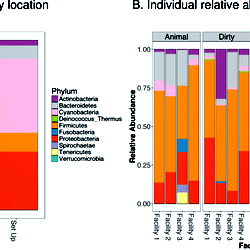 Microbial community composition measured by 16S rDNA sequencing shows ...