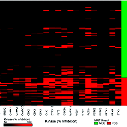 Heat map of kinase inhibition of the 21 kinases selected by ...