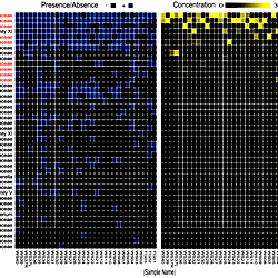 Heat map analysis of the 44 bacterial families detected using 16S rRNA ...