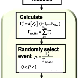 Schematic of the SSA algorithm, as coupled to the hybrid algorithm.