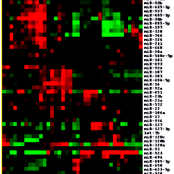 Heat maps of microRNA array data.