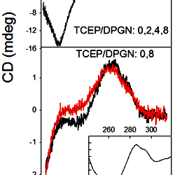 The influence of TCEP on the circular dichroic spectrum of DPGN.