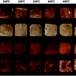 Thumbnail images of the polished slabs from each of the four silcrete ...