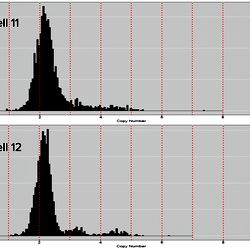 Distribution of CN state of Cell 11 and Cell 12.