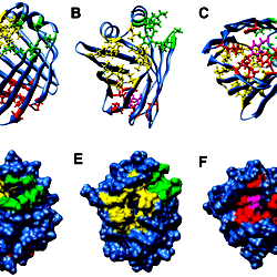 Front views of three portals.