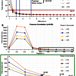 Calculation of statistical power.
