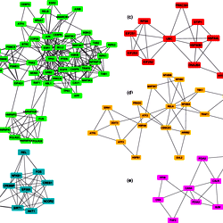 Clusters of intersection network identified by MCODE plugin.