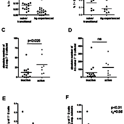 Late checkpoints of B cell tolerance.