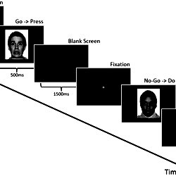 Depiction of an example experimental run.