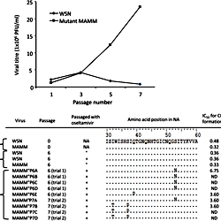 Serial passage of the MAMM mutant in the presence of oseltamivir.