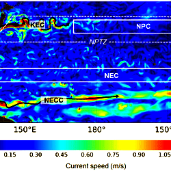 Schematic map of surface currents in the North Pacific.