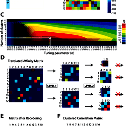 Modulated modularity clustering.