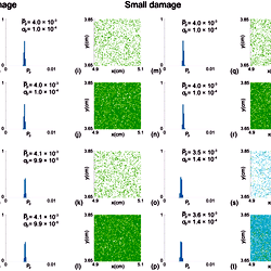 Snapshots of simulations for a near–homogeneous cell line.
