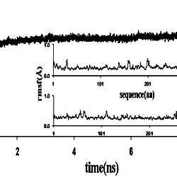 MD simulation RMSD and RMSF profiles.