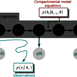 Hidden dynamical system.