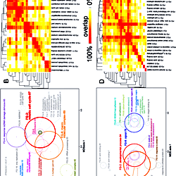 Molecular Function Map of ESFT.