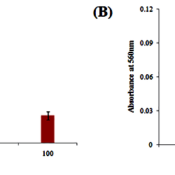 NBT reduction assay.