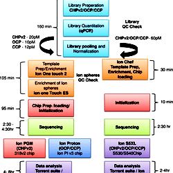 NGS workflow used for different Ion Torrent platforms in a clinical ...