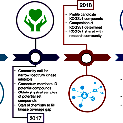 Process map for construction of a public comprehensive protein kinase ...