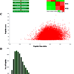 Proteomic process flow chart and standardized sample evaluation.